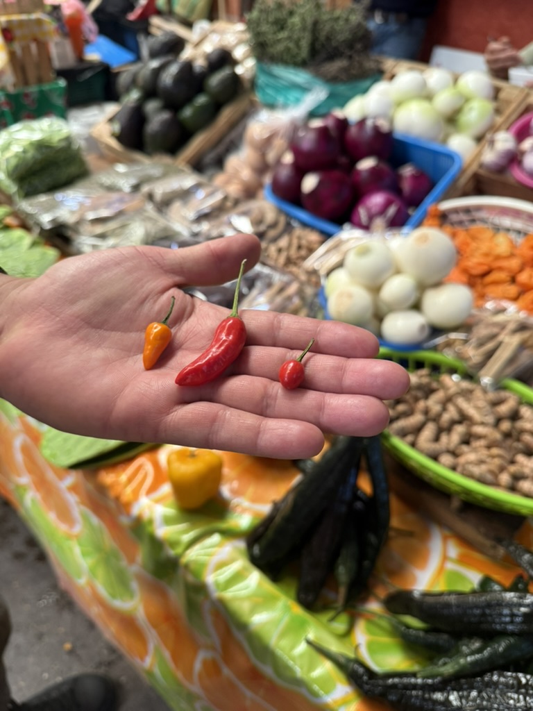 Feast for the Senses in San Miguel de Allende: A Four-Day Foodie Itinerary