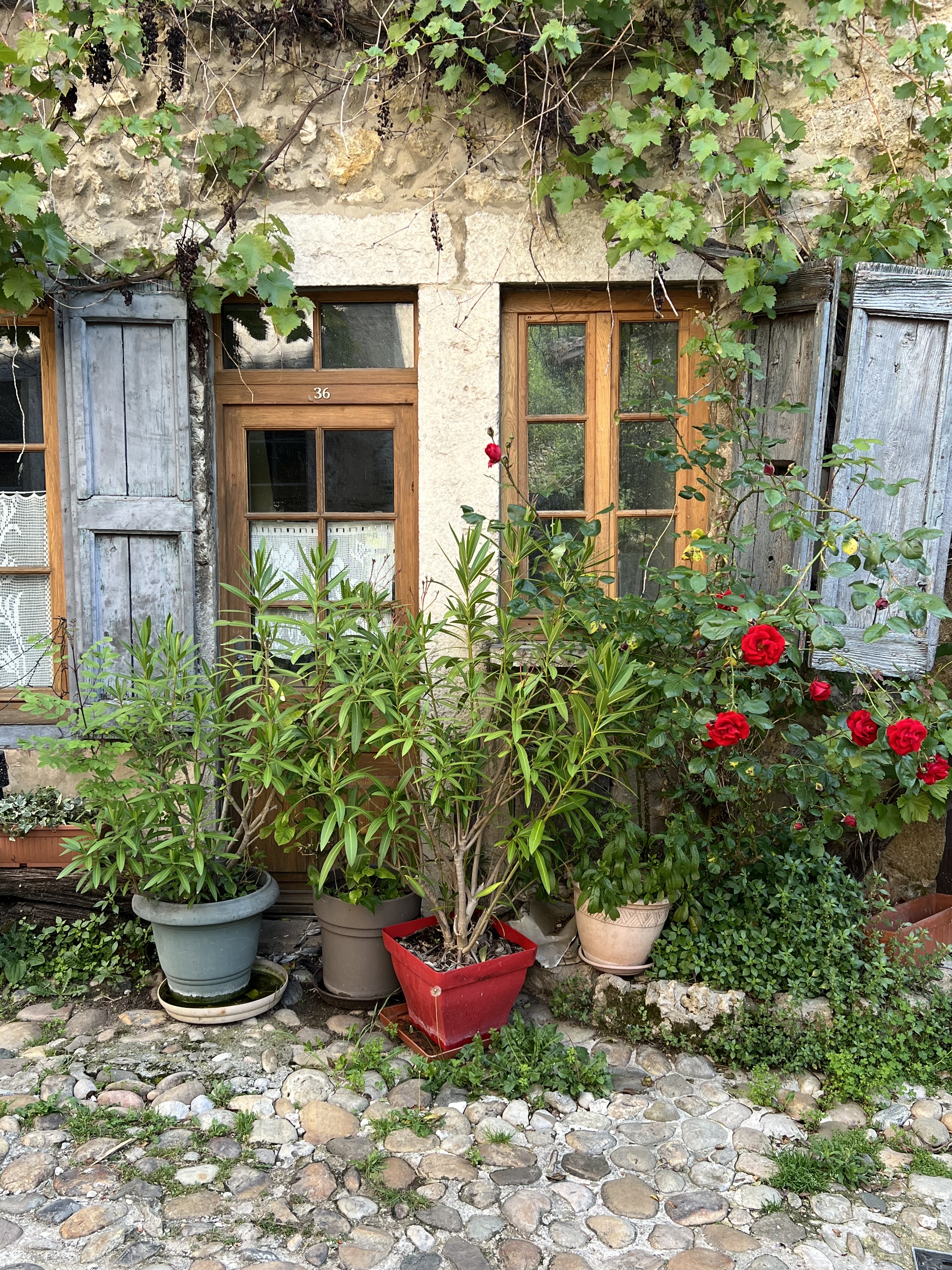 Rhône River Cruise: History, Food, and Wine