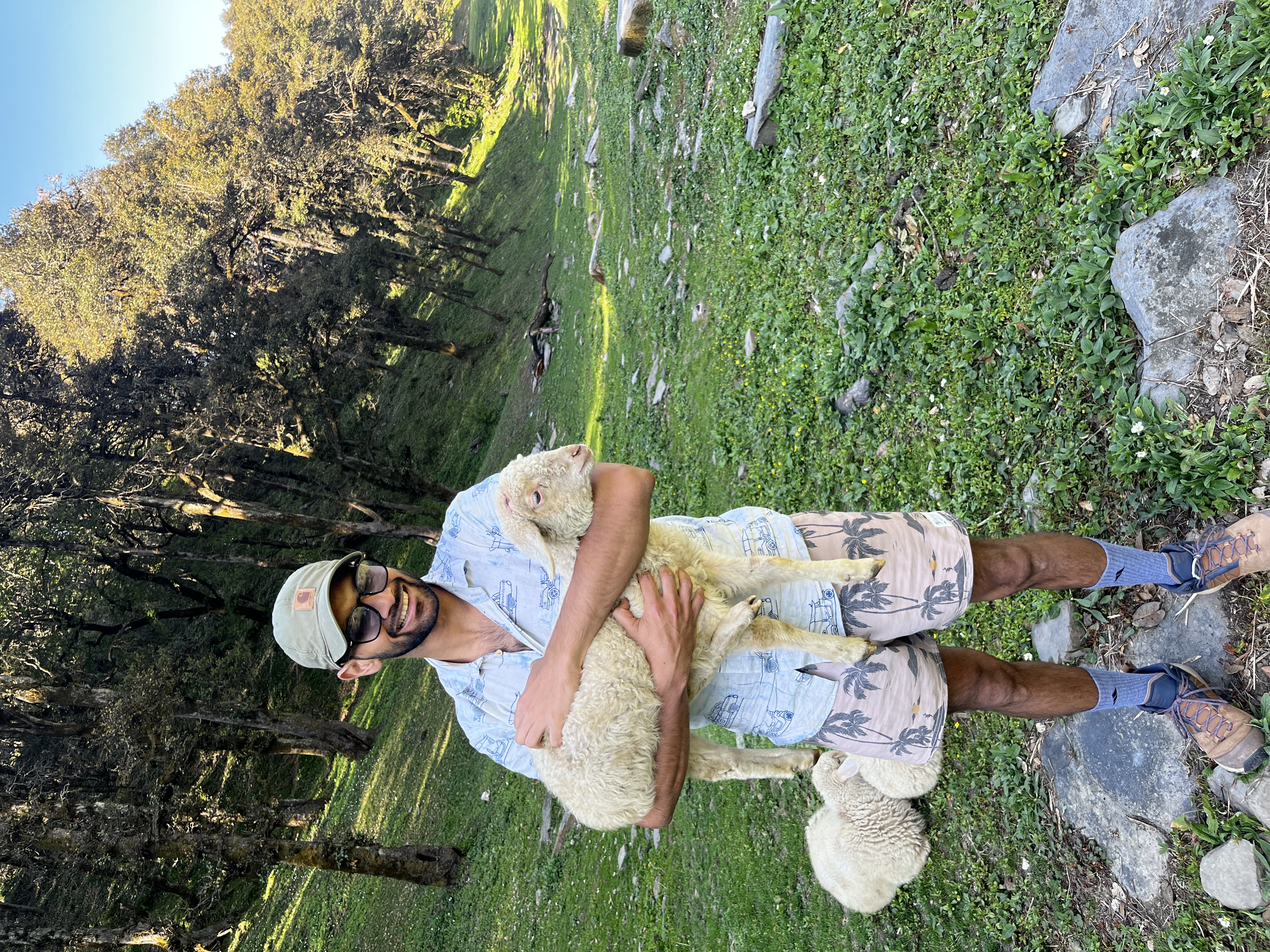 Aman Aggarwal | Fora Travel