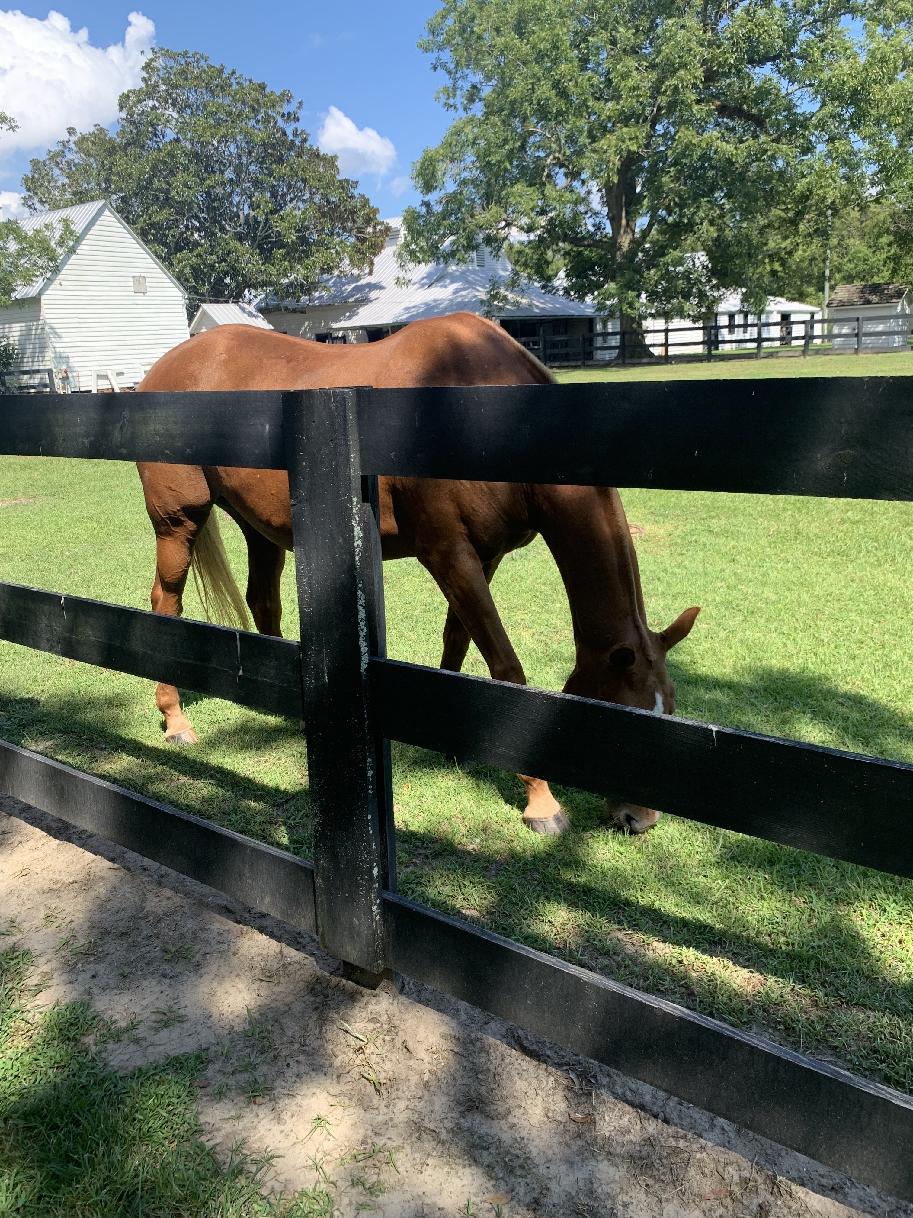 Charleston's Deep Roots: A Three-Day Journey Through Black History ...