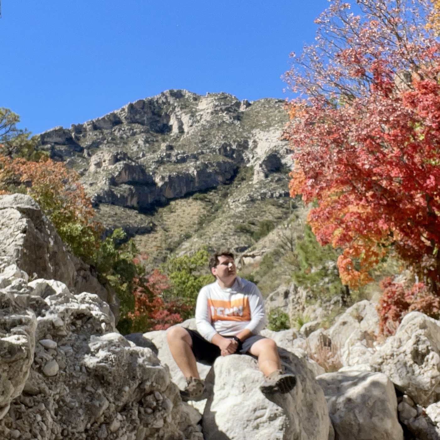 Kyle Larson | Fora Travel