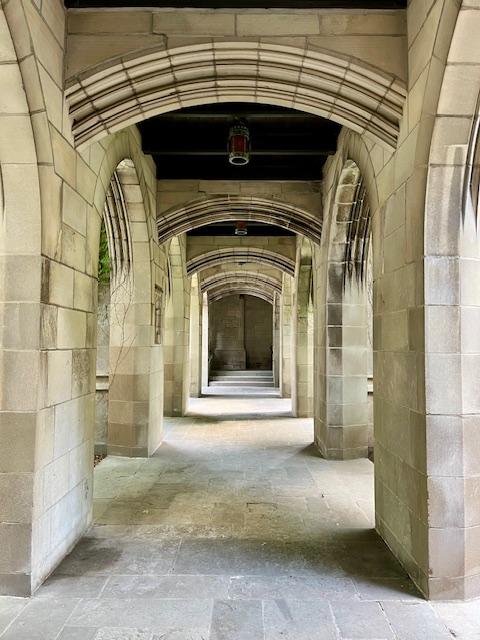 Christy Scanlon Meyer | Fora Travel