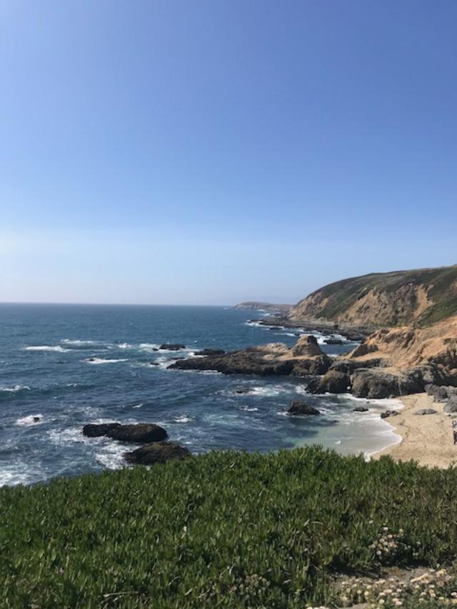 Christy Scanlon Meyer | Fora Travel