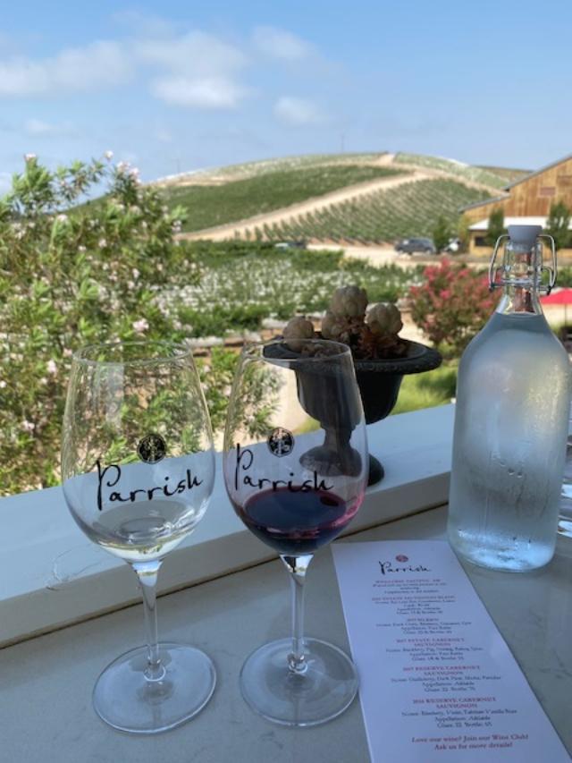 Christy Scanlon Meyer | Fora Travel