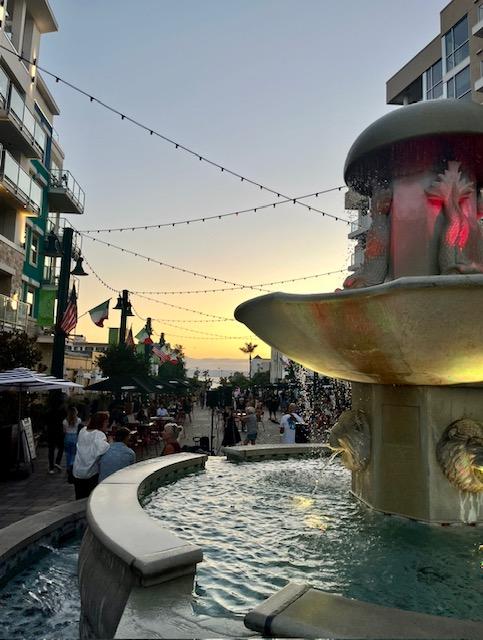 Christy Scanlon Meyer | Fora Travel