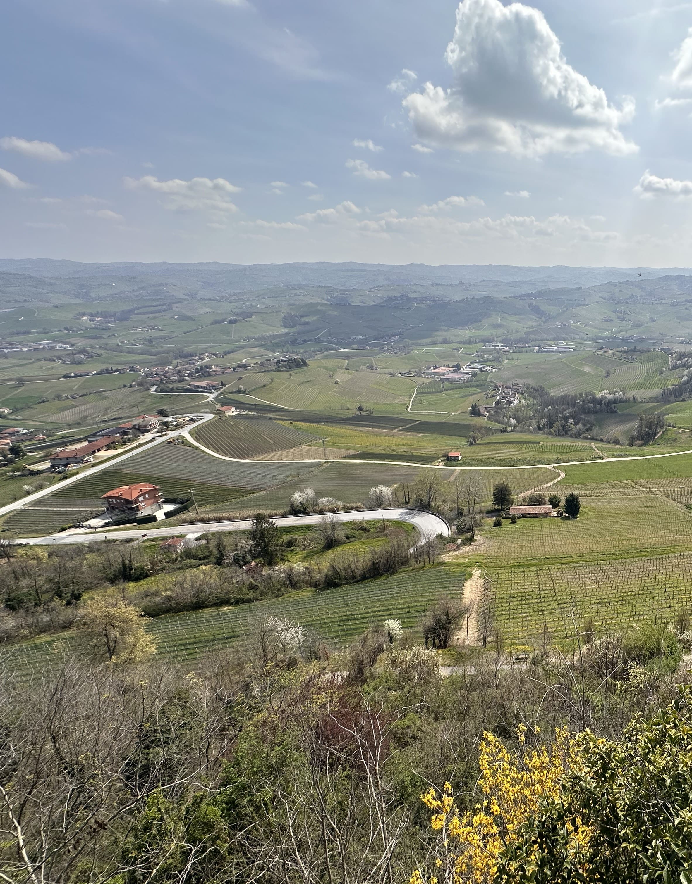 Prosecco to Piemonte: A 9-Day Bubbly Journey