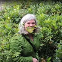 Beth Corsey | Fora Travel