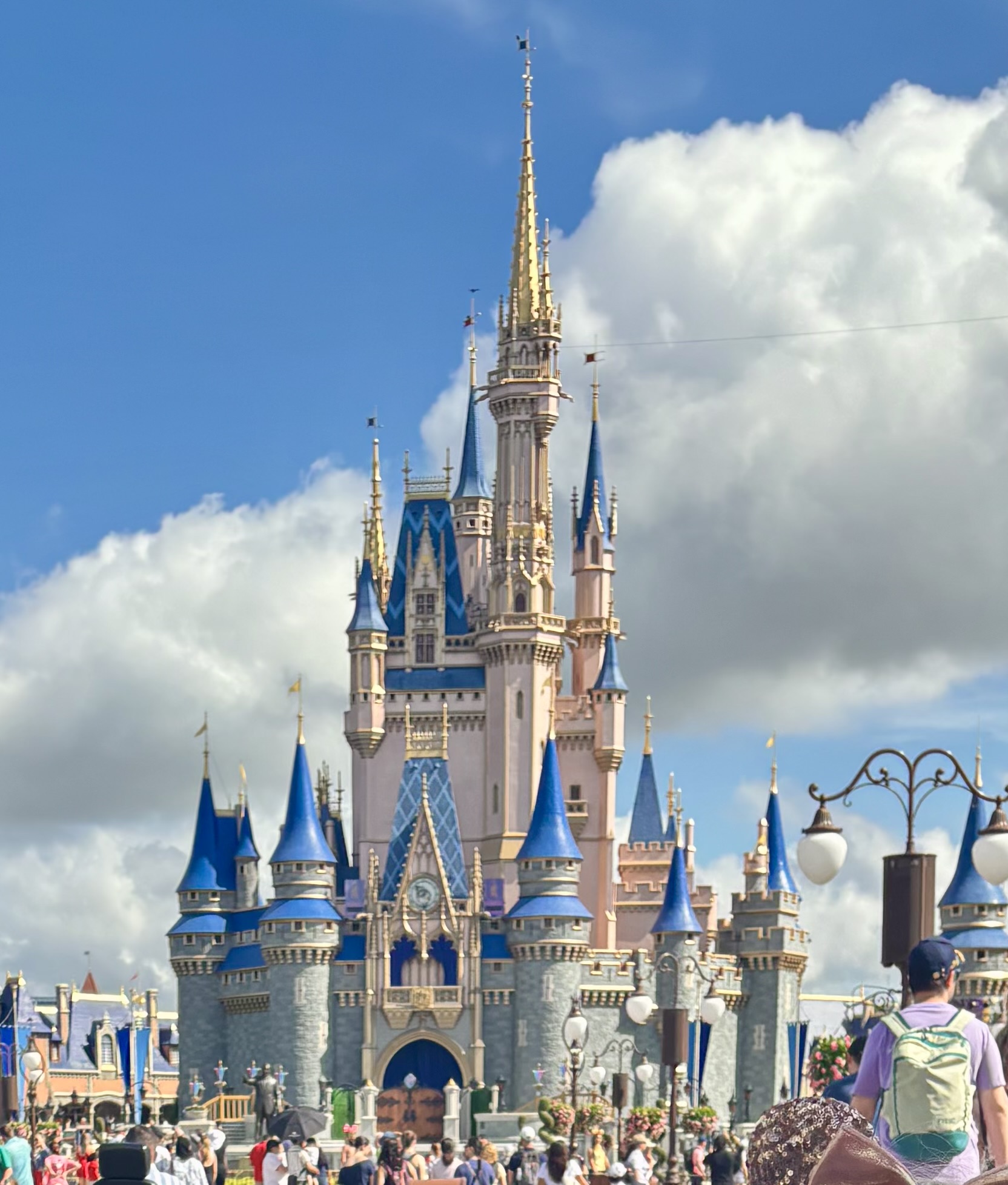 Preparing for & Conquering Walt Disney World with Very Young Children