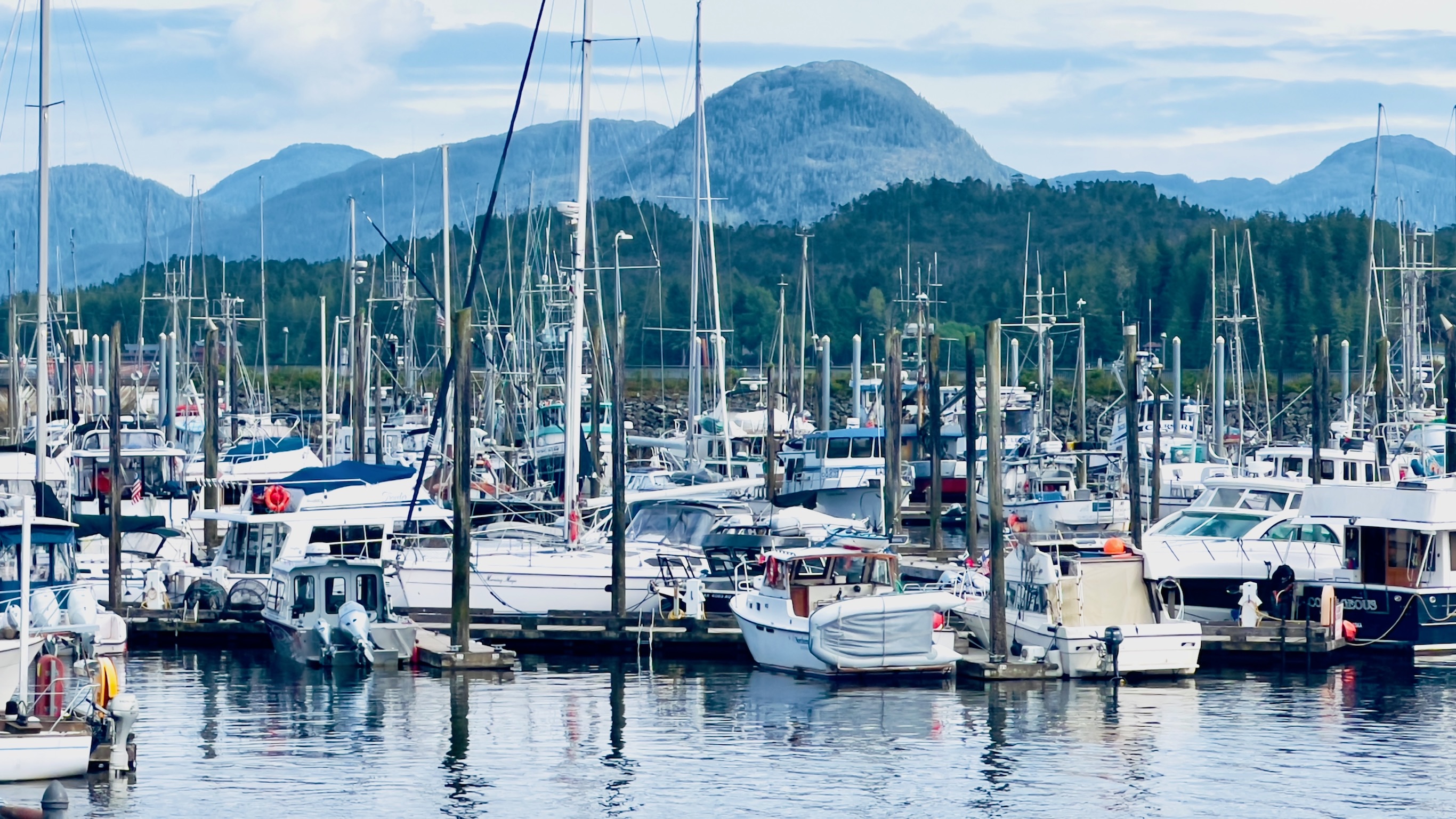 Stacy Baker | Fora Travel