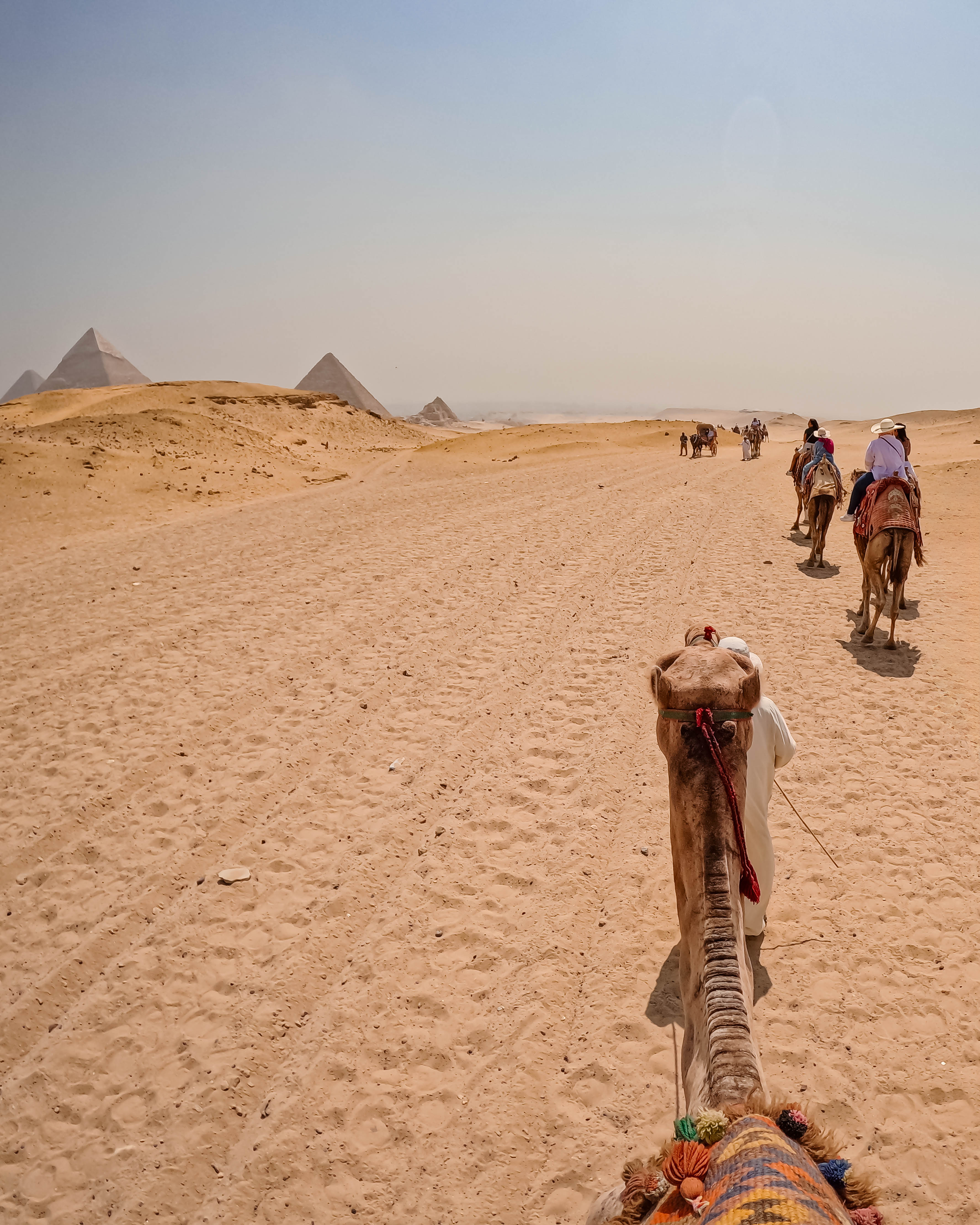 Cruising the Mediterranean & Egypt: 11 Days on Holland America with ...