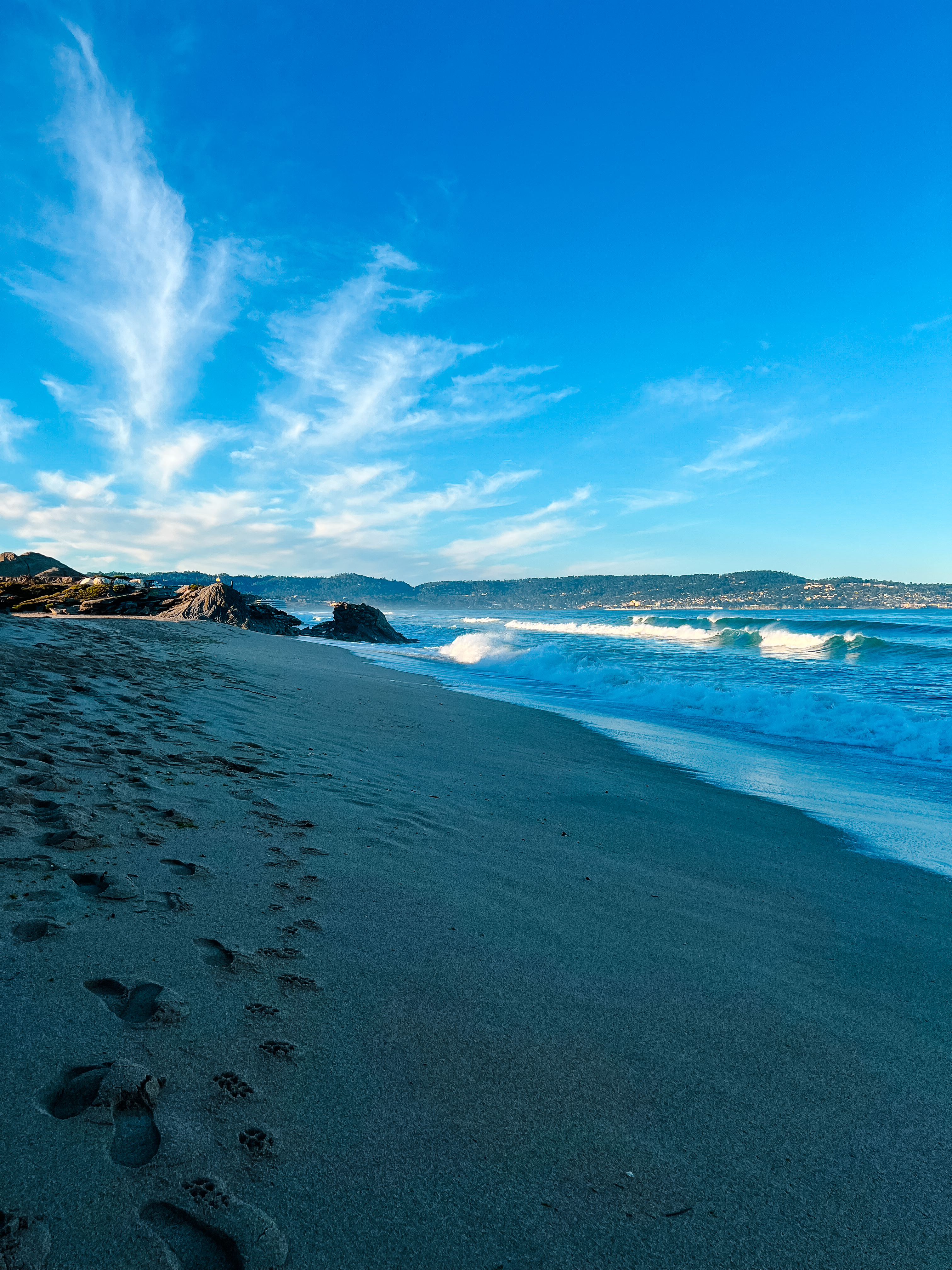 A Perfect Long Weekend in Monterey with Kids