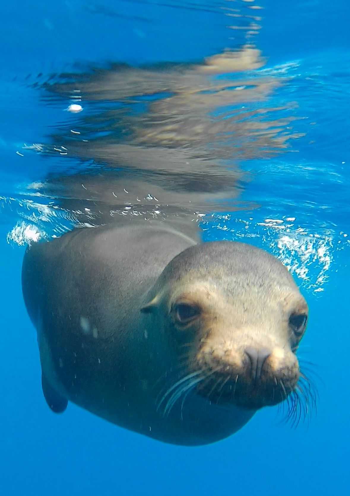 Ultimate Galápagos Getaway: 10 Days in Paradise