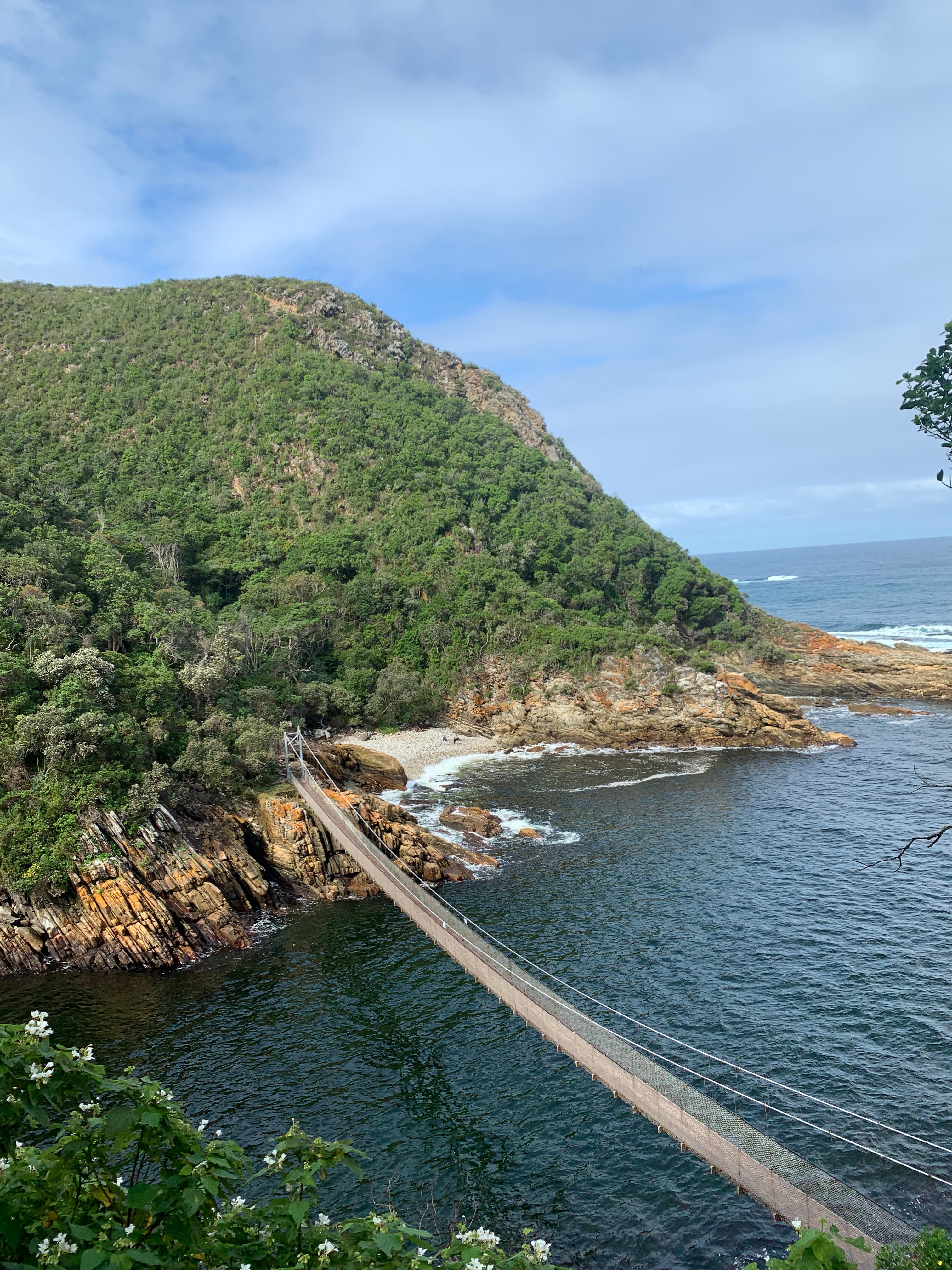 A Journey Through South Africa’s Garden Route & Winelands