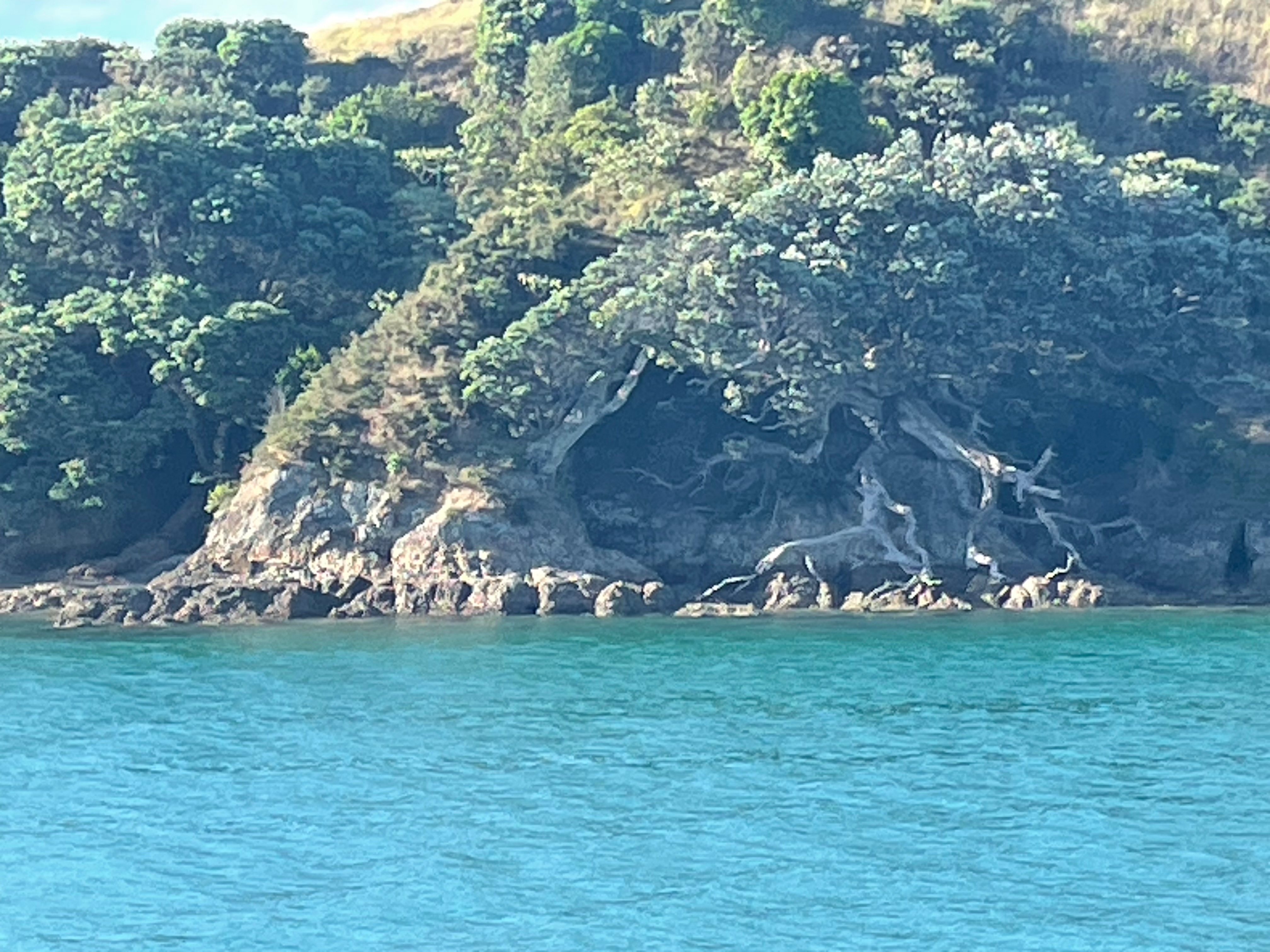 Rebecca Novick | Fora Travel