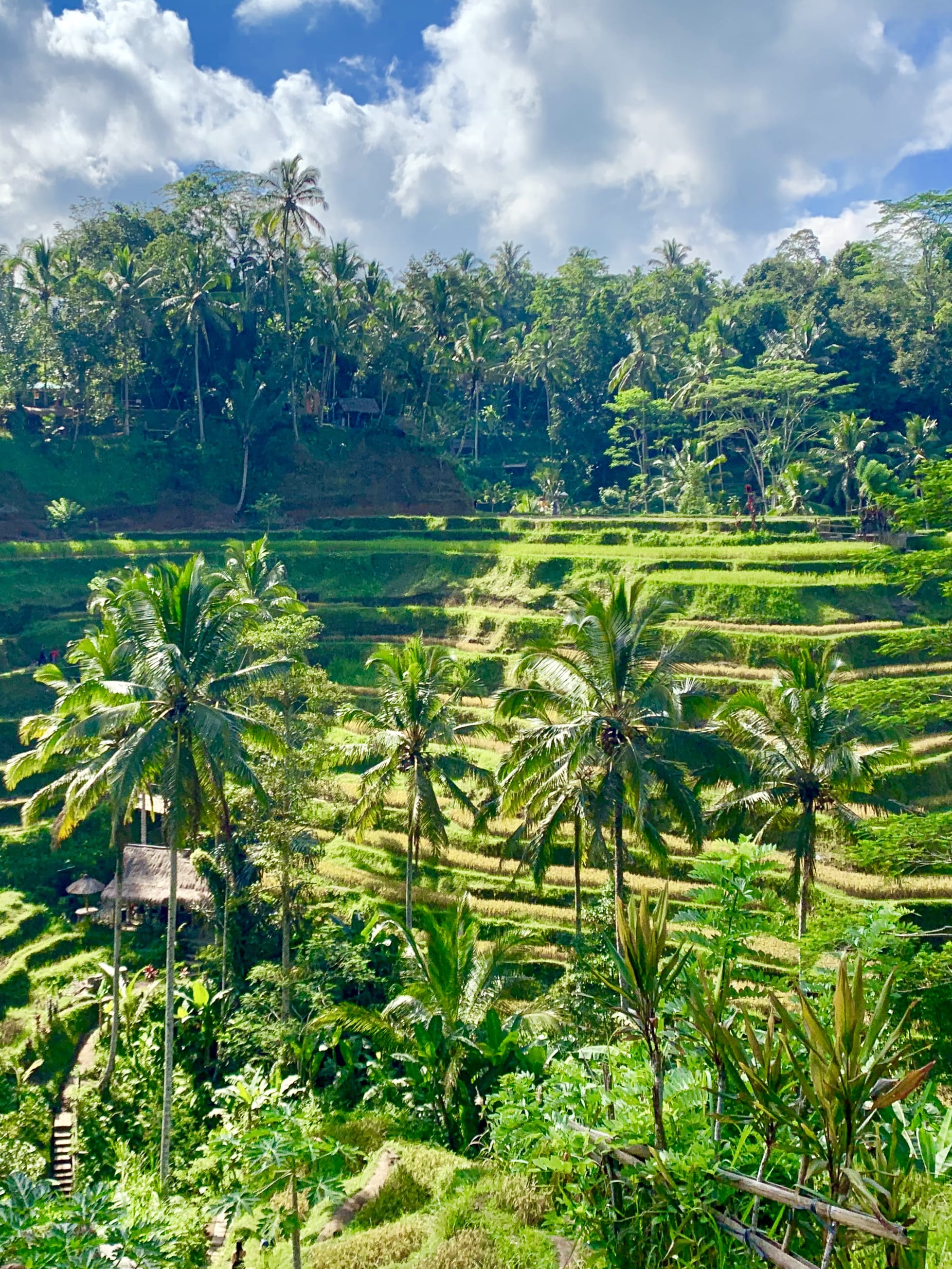 The Magic of Bali