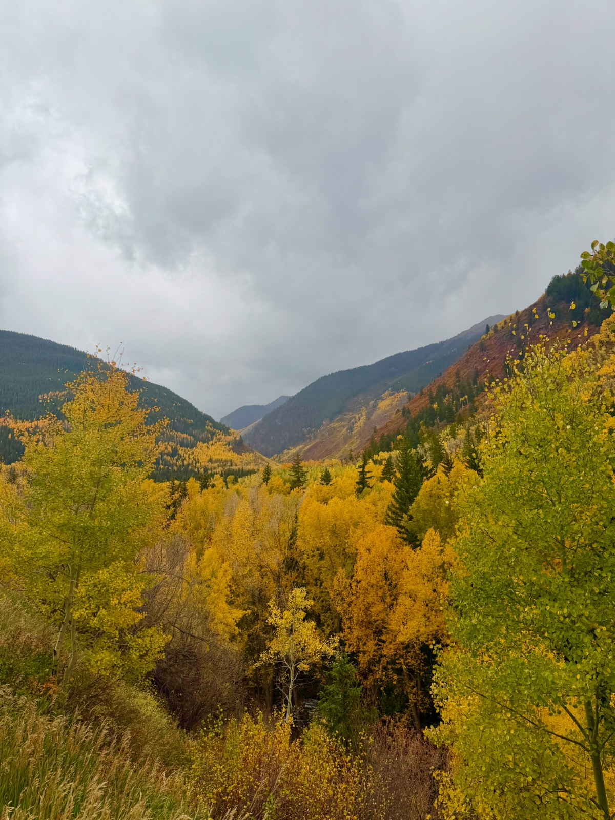 Peaks, Pines & Pumpkin Spice: A Fall Getaway to Aspen & Snowmass