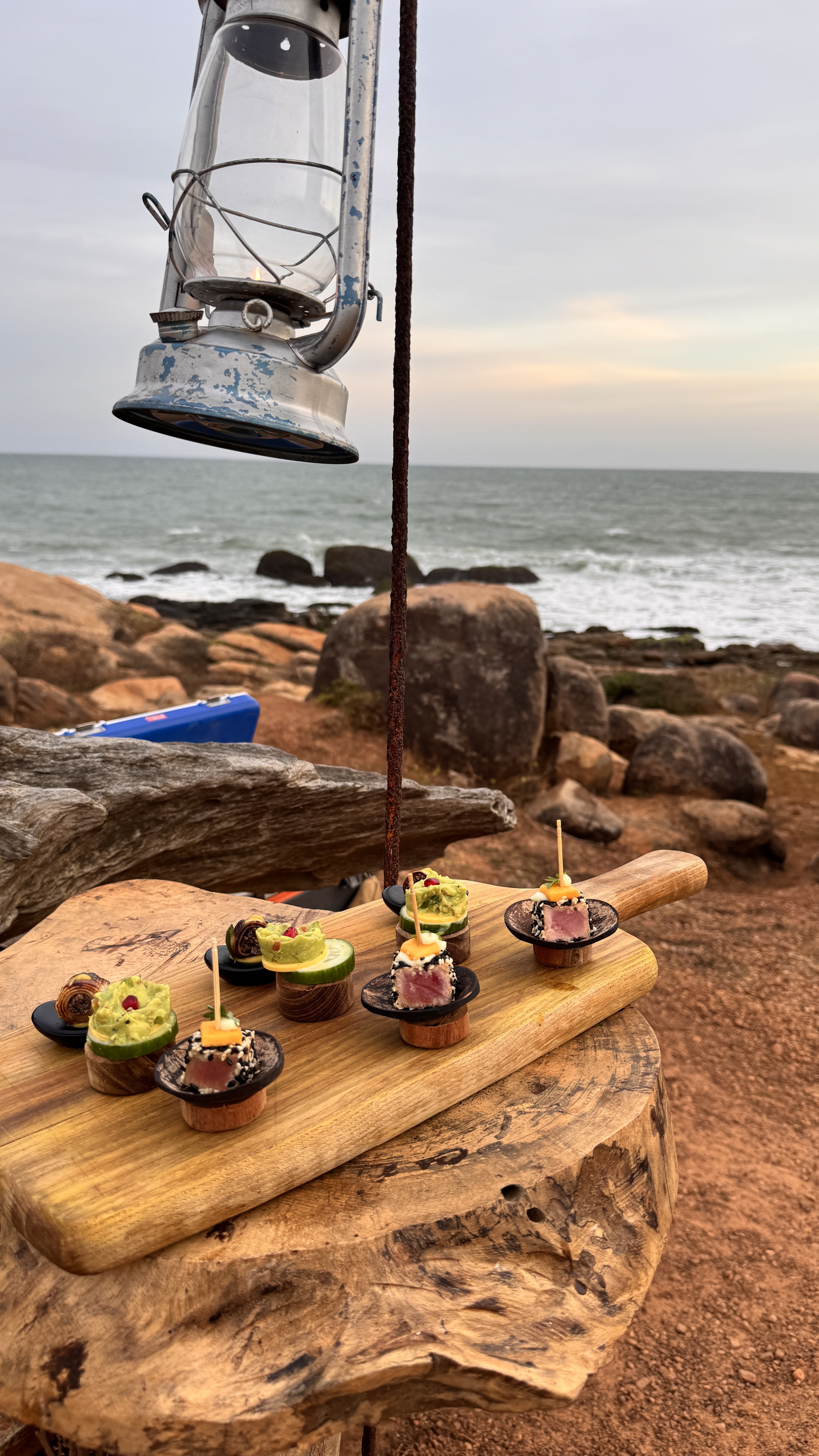 Surfing, Safaris & Tea in Sri Lanka
