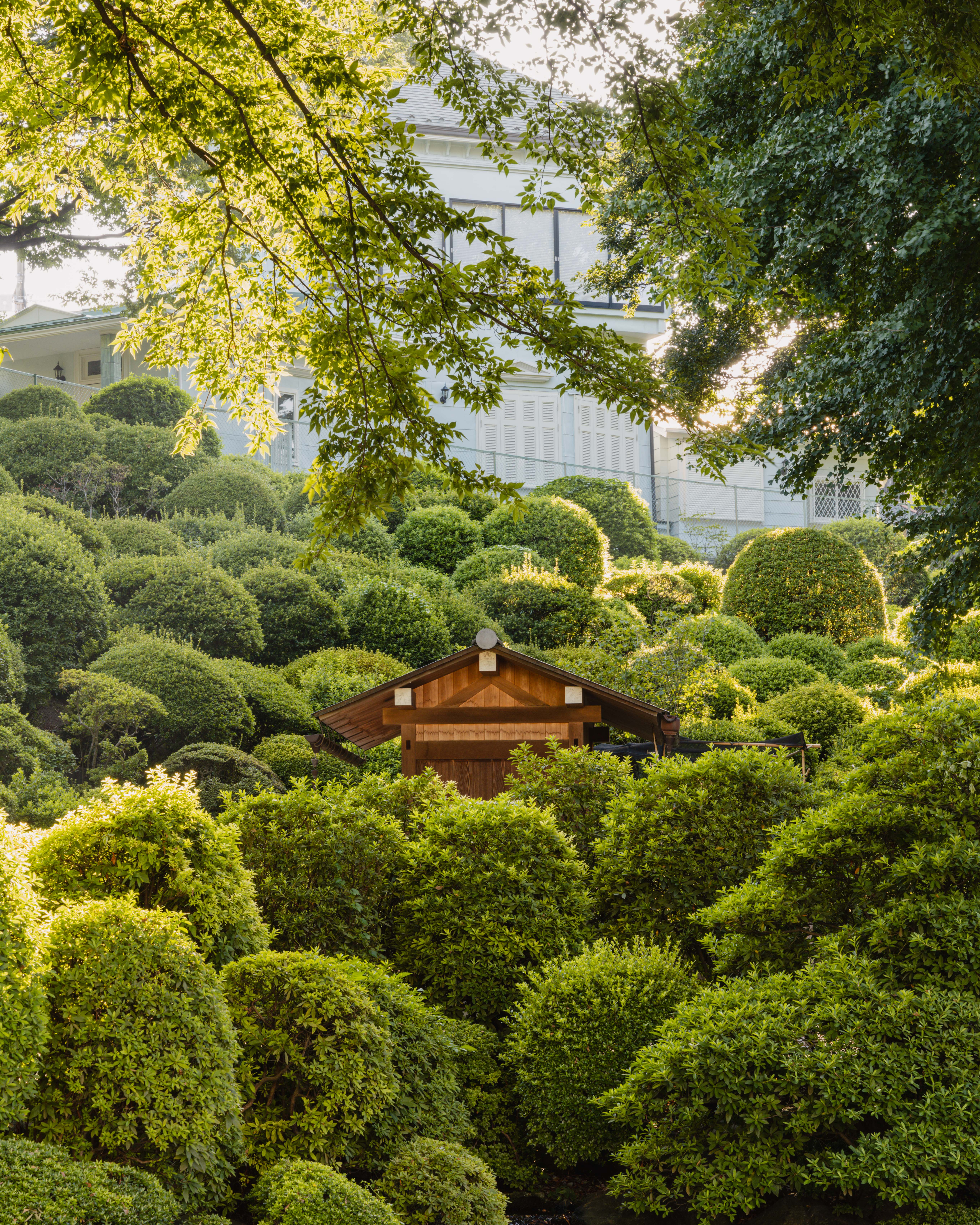 Unmissable Tokyo: Icons & Hidden Gems