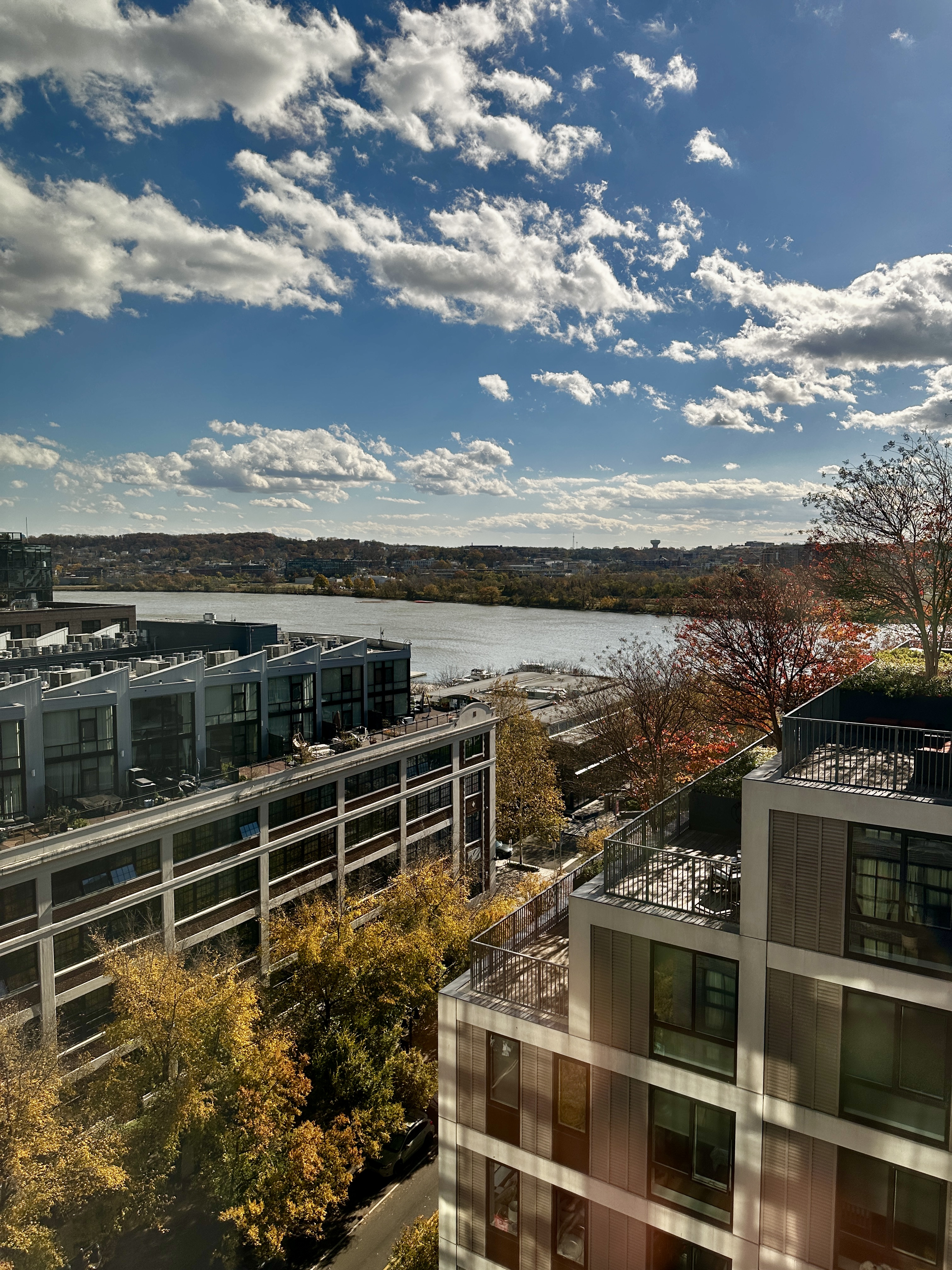 A Waterfront Thanksgiving: Discovering DC’s Hidden Gem, the Thompson ...