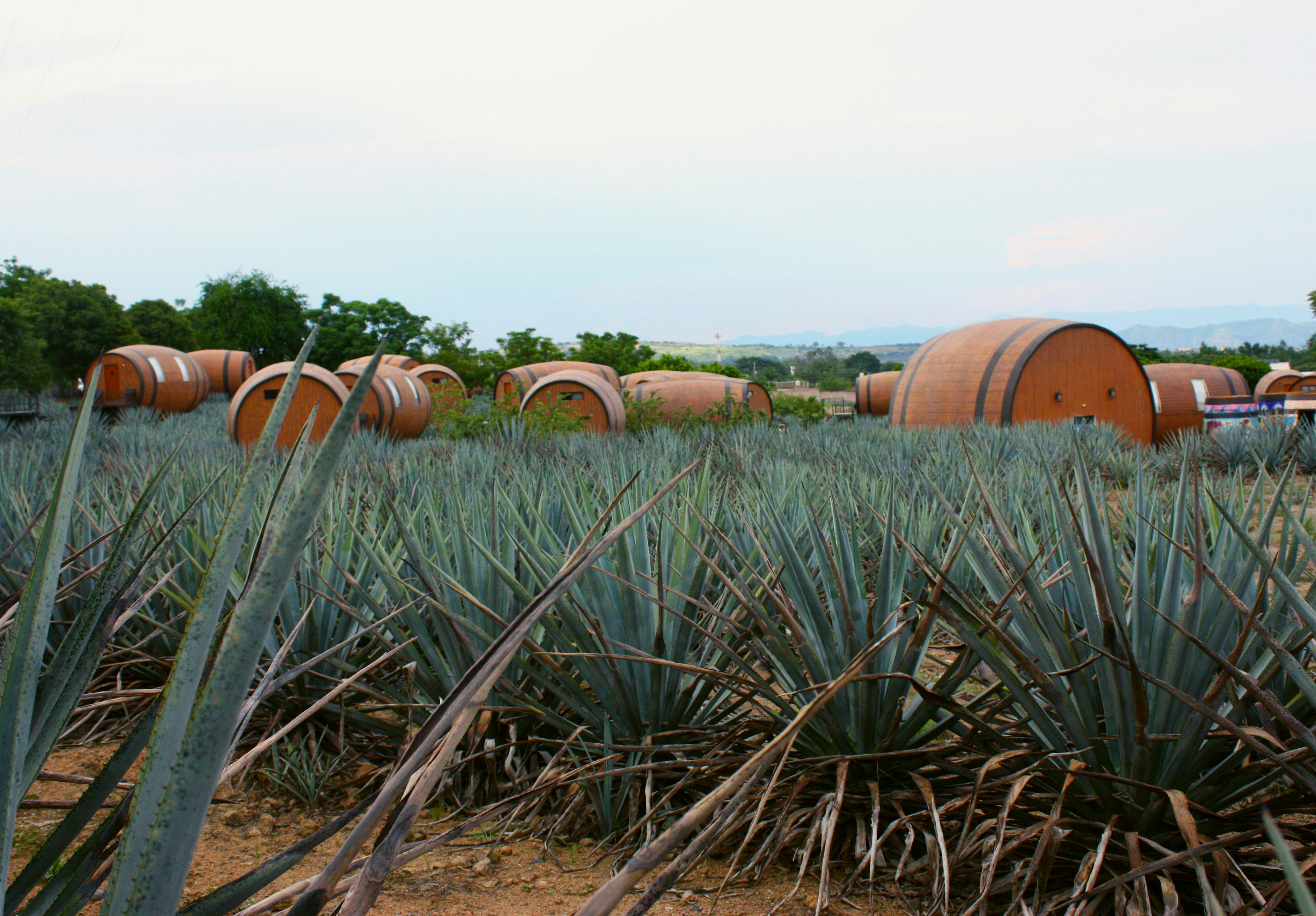 The Tequila & Temples Circuit: A 5-Day Cultural Reset Between World Cup ...
