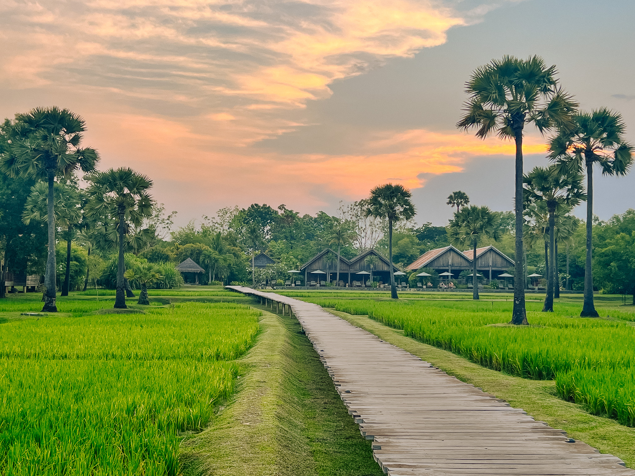 A Green Village in the Rice Paddies: Zannier Phum Baitang, Siem Reap